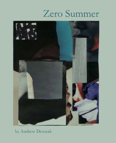 Buy Zero Summer Book Online at Low Prices in India | Zero Summer ...