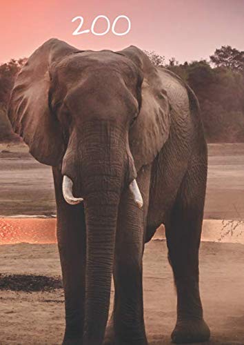 lined notebook of 200 pages: notebook for office, school, pupil ...