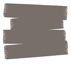 PRESTIGE Paints Eclipse Interior Flat Paint and Primer in One, 1-Gallon ...