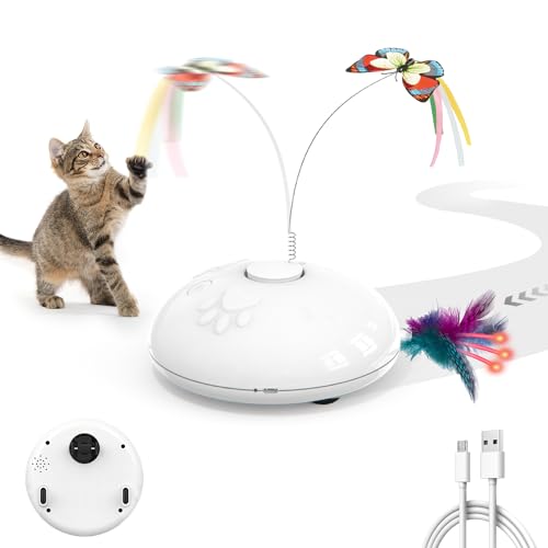 Cat Toys That Move – The 15 best products compared - Wild Explained