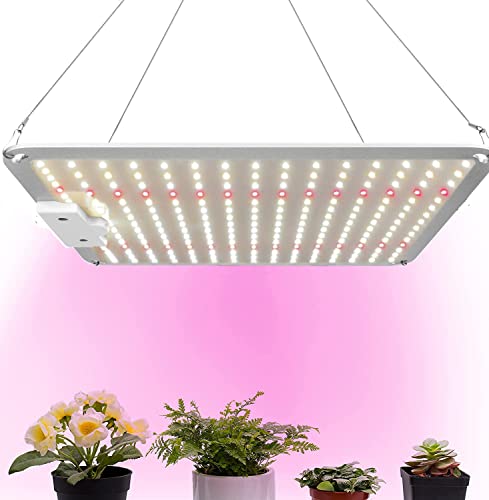 Top 10 400W Led Grow Light of 2022 - Katynel