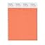 Amazon.com: PANTONE Smart 16-1360X Color Swatch Card, Nectarine ...