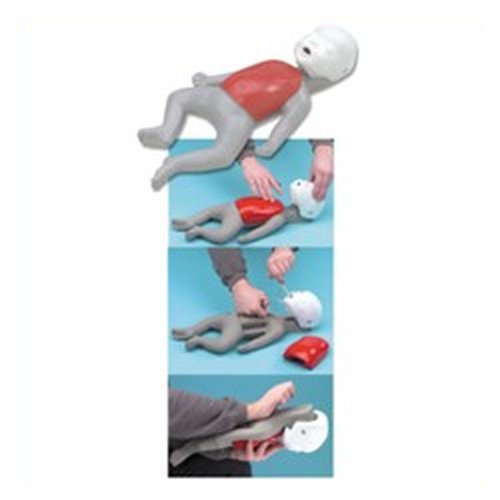 Amazon.com: PT# LF03721U Baby Buddy CPR Manikin Baby Buddy 5-Pack Each ...