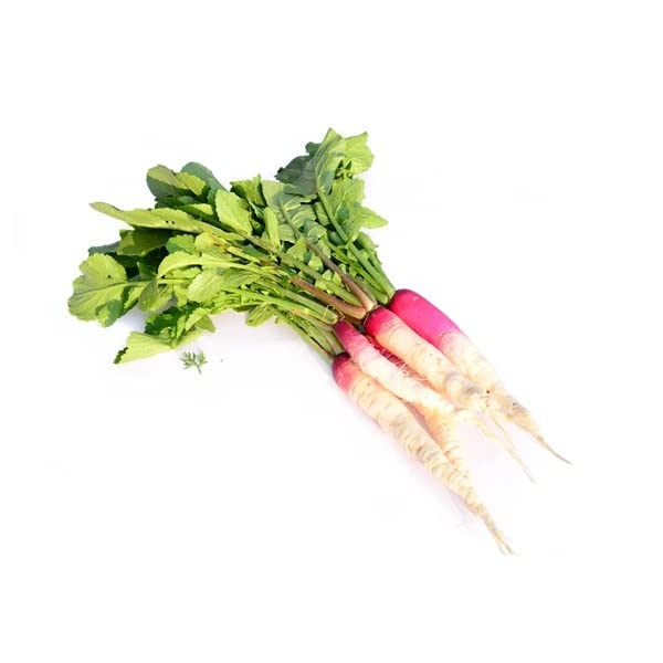 Ovule Muli Seeds Vegetable Plant Seed-250 Seeds : Amazon.in: Garden ...