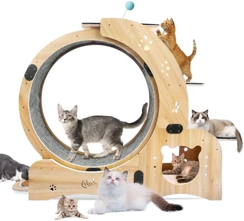 Amazon.com : Cat Wheels for Indoor Cats, Cat Exercise Wheel Fitness ...