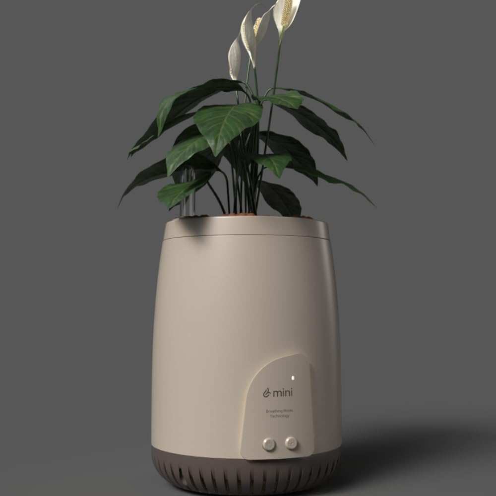 uBreathe Mini Lite Air Purifier Planter for Work From Home Setup | 2 ...