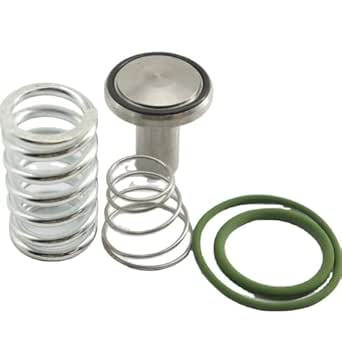 22064695 Kit de mantenimiento de válvula de presión mínima para ...