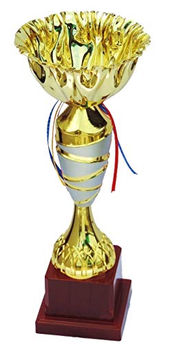 SMC Customizable Cup Trophy for Winners, Toppers, Match, Competition ...