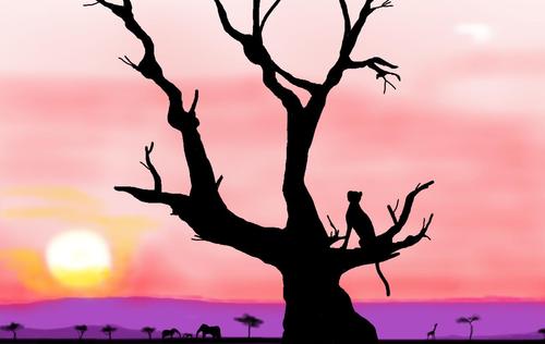 Amazon.com: Wacom Bamboo Fun Tablet : Electronics