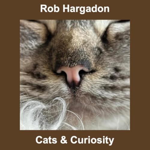 Amazon.com: Cats & Curiosity : Rob Hargadon: Digital Music