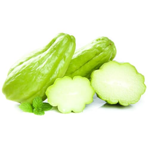 Chayote Samen – Die 15 besten Produkte im Vergleich - www.haus-und ...