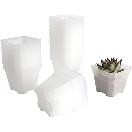 Amazon.com: 24 Pack 3 Inch Square Nursery Flower Pots,Plastic Plant Pot ...