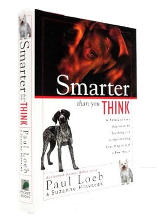 Buy Smarter Than You Think: A Revolutionary Approach to Teaching and ...