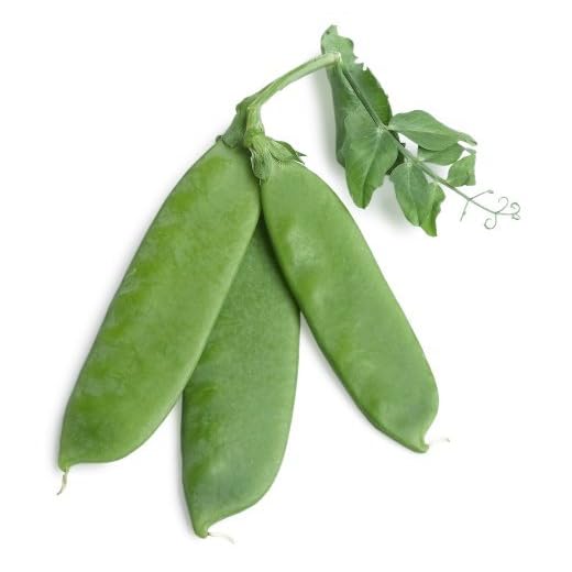 How to cook frozen snow peas - Metro Cooking Dallas