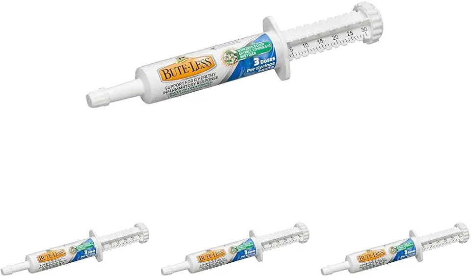 Understanding The Right Amount Of Bute For Your Horse: A Comprehensive ...