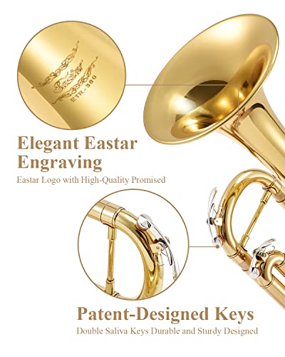 The 30 Best Standard Trumpets of 2026 [Verified] - Cherry Picks