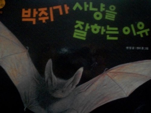 Amazon.com: Chasing Bats (Korean) 박쥐 가 사냥을 찰하는 이유: Ung Jin: Books