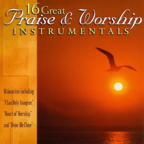 Amazon.com: 16 Great Praise & Worship Instrumentals : Daywind: Digital ...