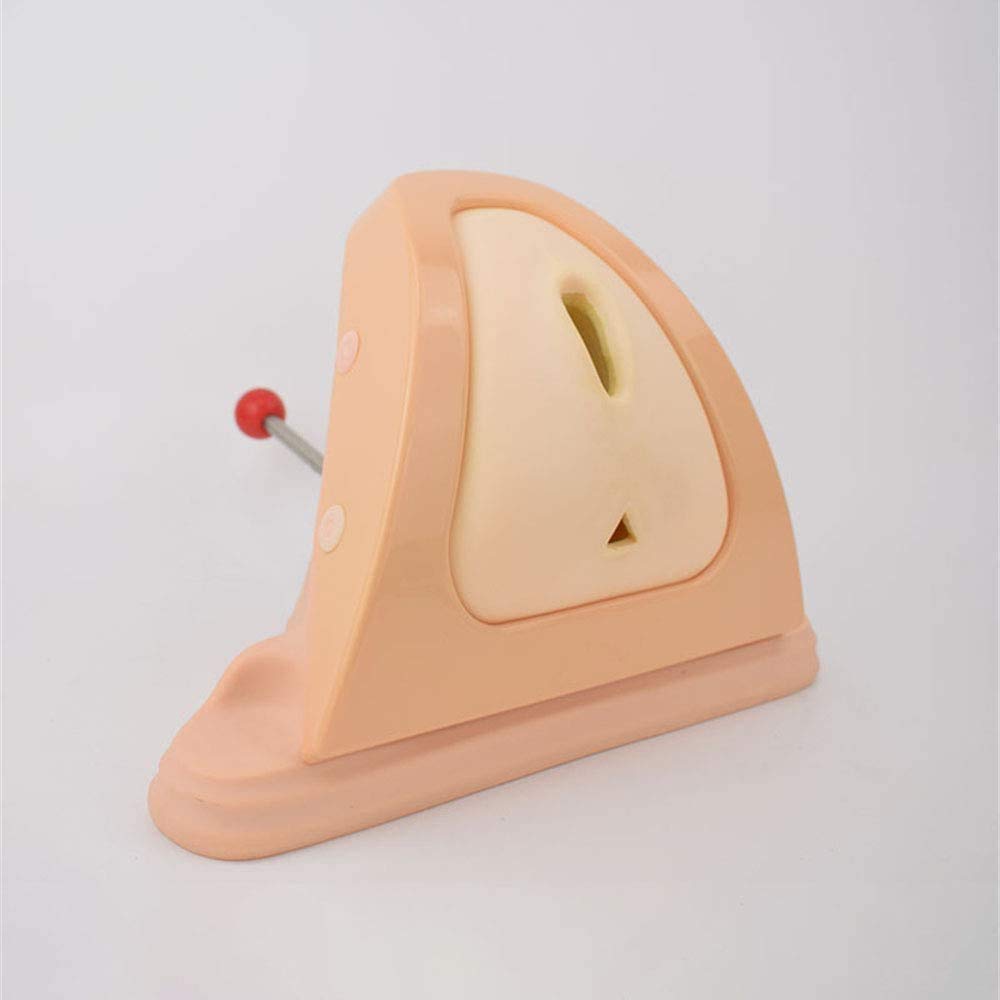 Buy Simulator cutting and suturing of the perineum Model of Medical ...