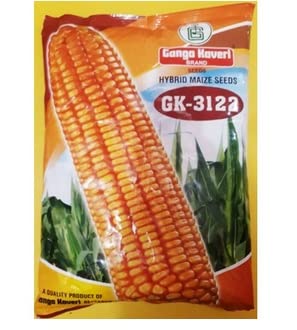 RYTHU MITHRA FERTILIZERS Seeds Ganga Kaveri Maize 3122 Hybrid Seeds in ...