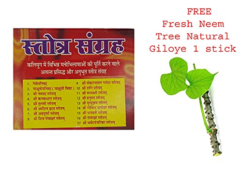 Amazon.in: Buy Stotra Sangrah Book With free fresh neem tree natural ...