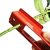 Amazon.com : TIHOOD 3PCS Professional Rose Leaf Thorn Stripper Kit Stripping Tool Thorn Remover ...