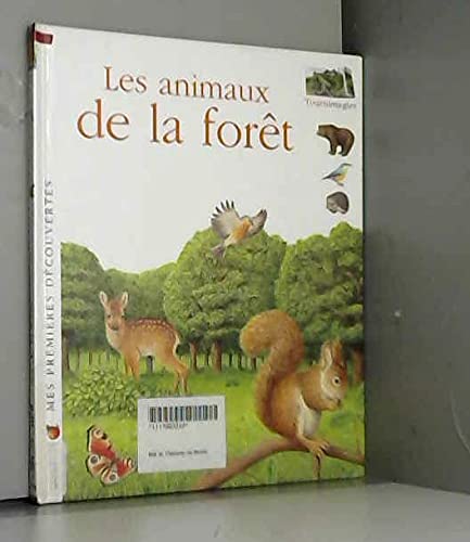 Amazon.com: LES ANIMAUX DE LA FORET (MES PREMIERES DECOUVERTES ...