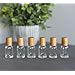 Amazon.com: Home Of The Wise Essential Oil Roller Bottles - 6 Pack ...