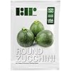 Amazon.com : Round Zucchini Seeds for Planting - Heirloom, Non-GMO, USA ...