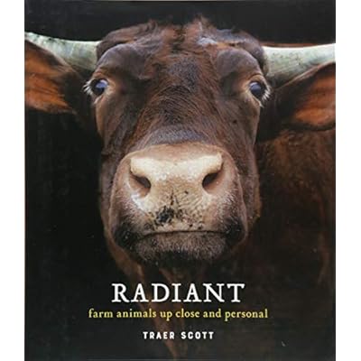 Amazon.com: Oversized Coffee Table Books Hardcover