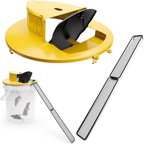 Amazon.com : RinneTraps - Flip N Slide Bucket Lid Mouse Trap |Humane or ...
