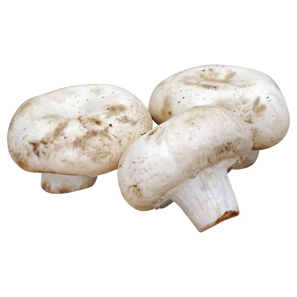 Amazon.com: Large Mushrooms Bulk : Grocery & Gourmet Food