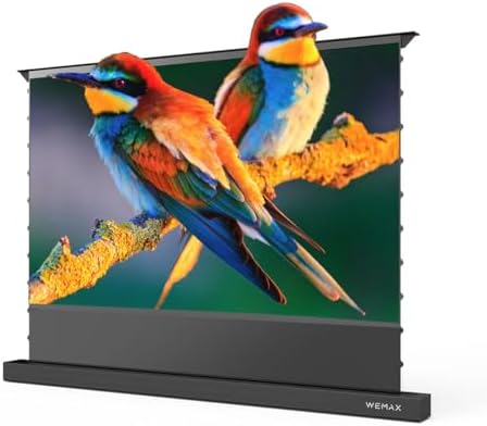 Amazon.com: WEMAX 100 inch Electric Floor Rising Tension Indoor ...