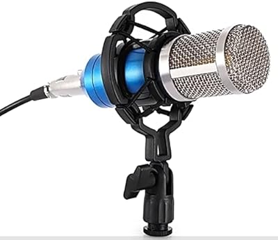 DEVICE OF URBAN INFOTECH BM-800 Condenser Microphone with XLR Cable ...