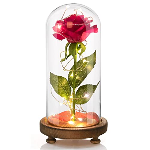 Cait B's Amazon Page
