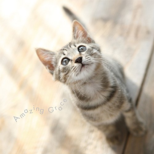 Amazing Grace All Stars: Amazon.es: CD y vinilos}