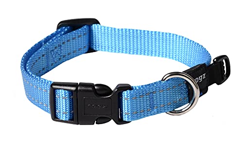Best Collars for Labradors and Large Breed Dogs