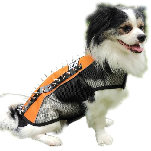 Dog Spike Vest – The 15 best products compared - Wild Explained