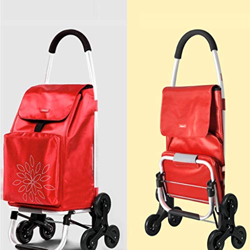 The 25 Best Shopping Carts for Seniors of 2026 [Verified] - Cherry Picks
