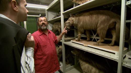 Amazon.in: Buy The Real Wolfman DVD, Blu-ray Online at Best Prices in ...