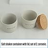 Amazon.com: Ceramic Salt Cellar Set of 2, Beige Salt Container with ...