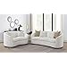Amazon.com: Coaster Home Furnishings Rainn 2-Piece Upholstered Tight ...