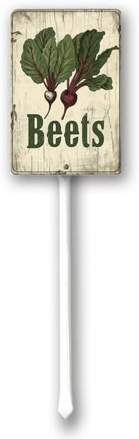 Amazon.com : Uptell Vintage Vegetable Signs for Garden with Stake Beets ...
