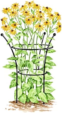 Amazon.com : Gardener's Supply Company Grow Through Plant Support ...
