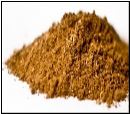 Amazon.com : The Big Indian Store Kapur Kachri Powder : Grocery ...