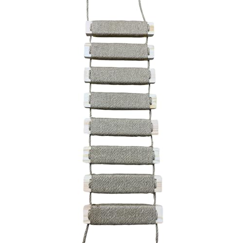 Cat Ladder – The 15 best products compared - Wild Explained