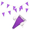 Amazon.com: AuTop 100 Feet Solid Purple Pennant Banner Flags String ...