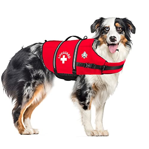 Top 10 Chewy Dog Life Jackets for Safe Water Adventures: A Must-Have ...