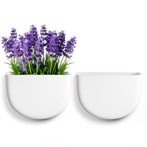 Best Half Moon Plant Pots for Stylish Indoor and Outdoor Displays ...