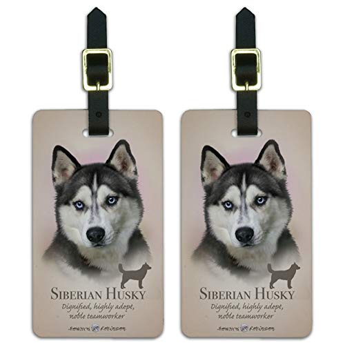 Best Siberian Husky Dog ID Tags: Stylish Solutions for Your Furry ...